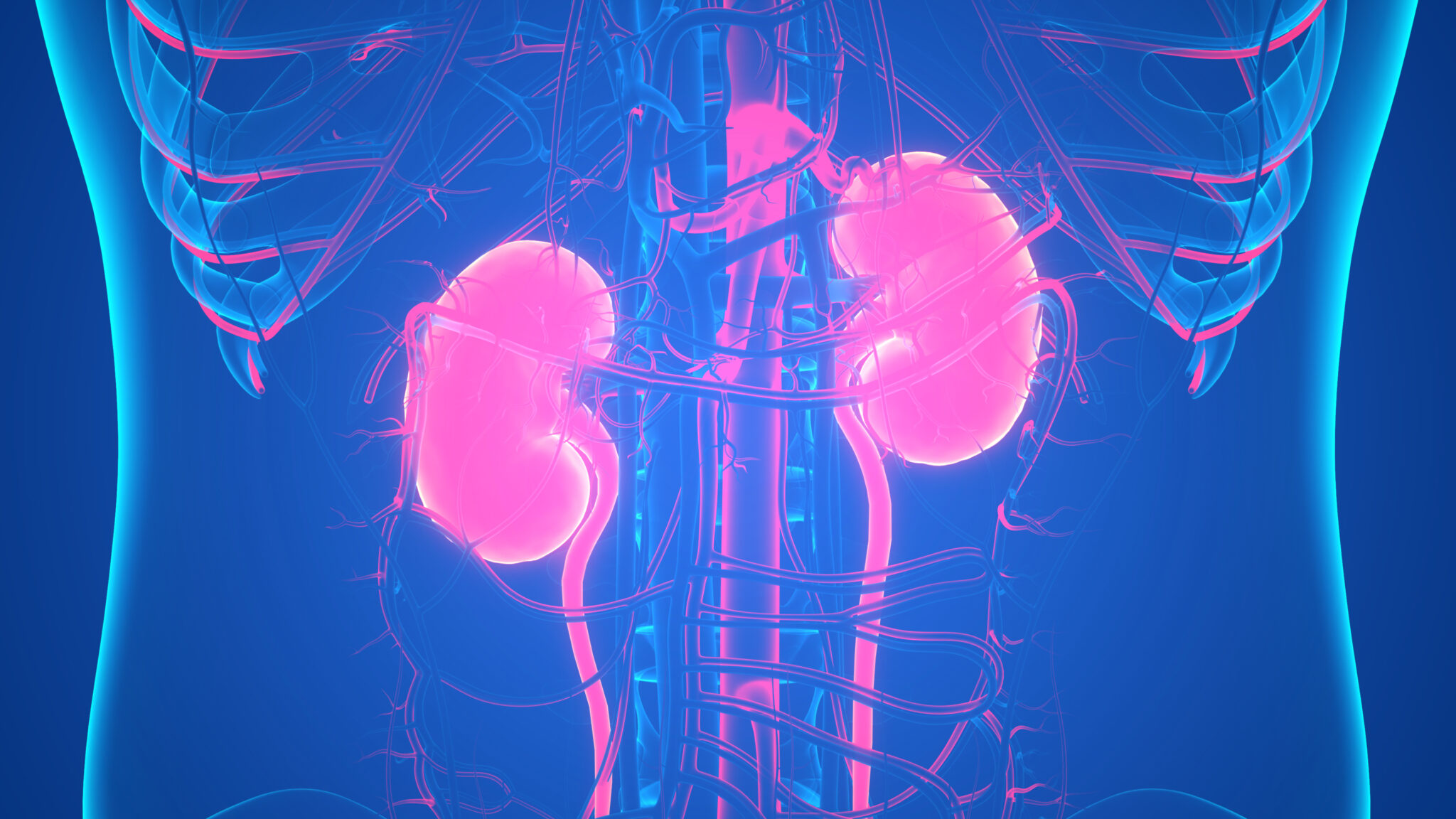 A Collaboration in Online Kidney Disease Provider & Patient Education ...